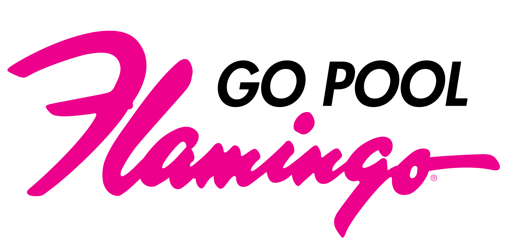 Flamingo GO Pool – Graphics | Design | Illustration